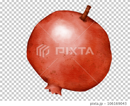 pomegrenate fruit watercolor illustration...のイラスト素材 [106169043] - PIXTA