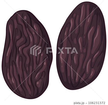 Two Isolated Raisins Vectorのイラスト素材 [106231372] - PIXTA