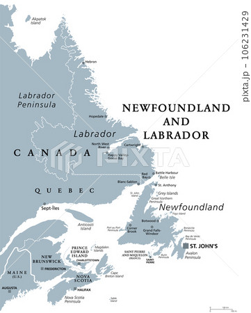 Newfoundland and Labrador, gray political map....のイラスト素材 [106231429 ...