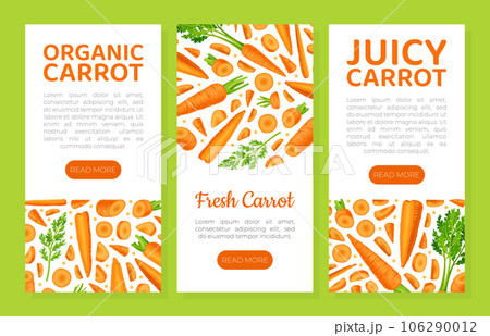 Bright Carrot Vegetable and Crop Banner Design...のイラスト素材 [106290012 ...