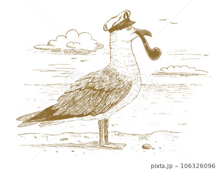 Seagull captain drawn by handのイラスト素材 [106326096] - PIXTA