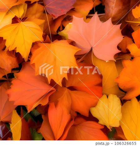Autumn orange, leaves fall abstract background,...のイラスト素材 [106326655 ...