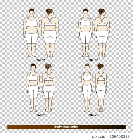 BMI Body mass index Young women's body shape... - Stock Illustration ...