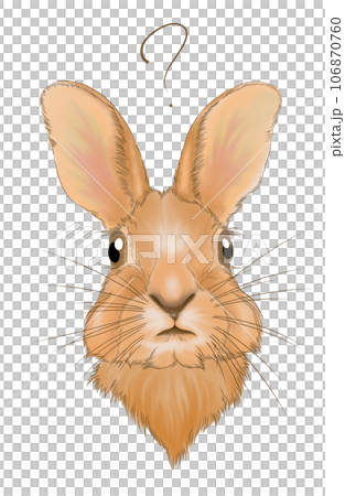 A Rabbit the expression of doubt transparent...-插圖素材 [106870760] - PIXTA圖庫