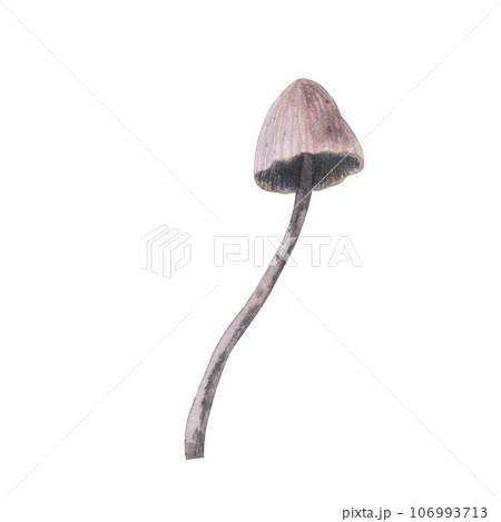 Death cap toadstool magical texture isolated on...のイラスト素材 [106993713 ...