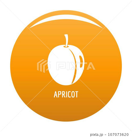 Apricot icon. Simple illustration of apricot...のイラスト素材 [107073620] - PIXTA