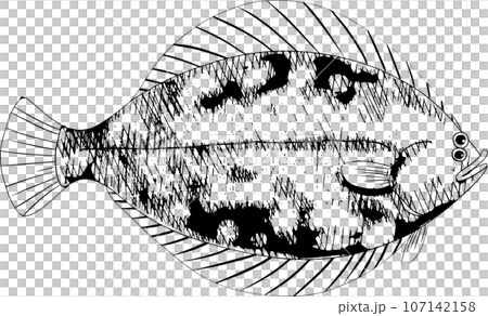 Illustration of fish print of flounder - Stock Illustration [107142158 ...