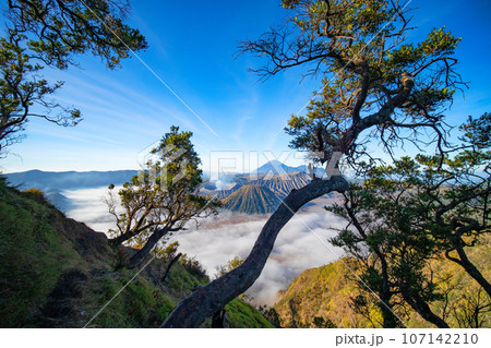 Amazing Mount Bromo volcano during sunrise from...の写真素材 [107142210] - PIXTA