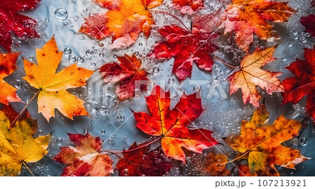 Background of autumn leaves frozen in ice,...のイラスト素材 [107213921] - PIXTA