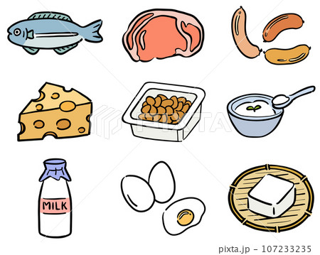 Clip Art Protein Protein Foods Stock Illustrations – 5,595 Protein
