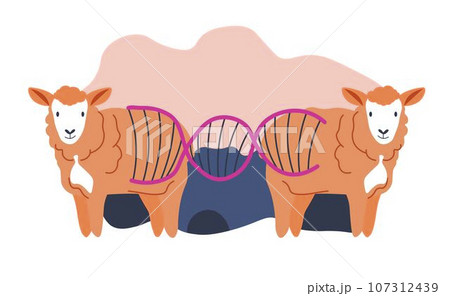 Cloning of animals, genetically modified sheepのイラスト素材 [107312439] - PIXTA