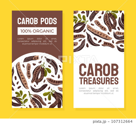 Carob Plant Pod Banner Design with Eco Crop...のイラスト素材 [107312664] - PIXTA