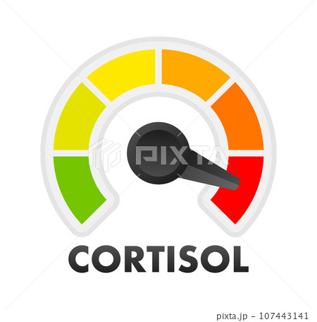 Cortisol Level Meter, measuring scale. Cortisol...のイラスト素材 [107443141 ...