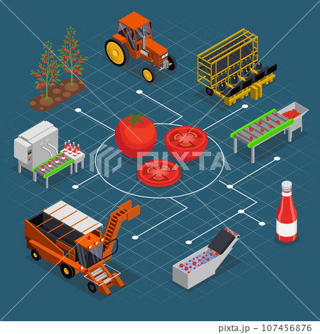 Tomatoes Production Isometric Flowchartのイラスト素材 [107456876] - PIXTA