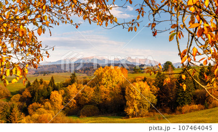 View of autumn landscape framed by colorful...の写真素材 [107464045] - PIXTA