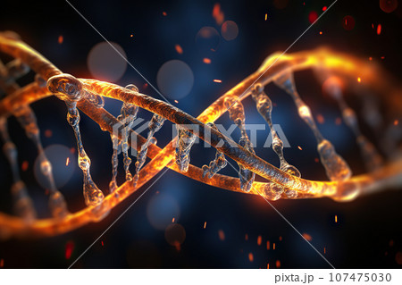 Genetic Vulnerability Visualizing DNA Double...のイラスト素材 [107475030] - PIXTA