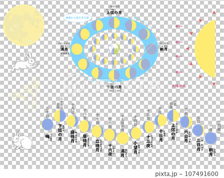 Moon phases diagram and moon name list set - Stock Illustration ...