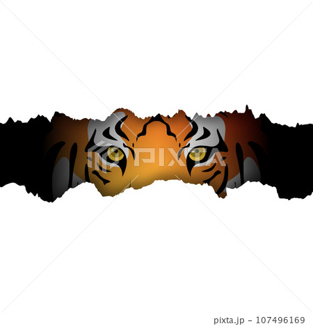 Tiger looks through hole in torn white paper. のイラスト素材 [107496169] - PIXTA