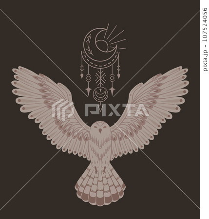 Vector sacral card of an owl with spread wings...のイラスト素材 [107524056 ...