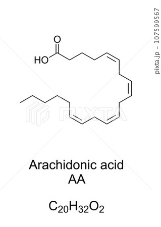 Arachidonic acid, AA or ARA, chemical formula...のイラスト素材 [107599567] - PIXTA