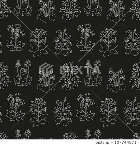 Monochrome seamless pattern with canary islands...のイラスト素材 [107744971 ...