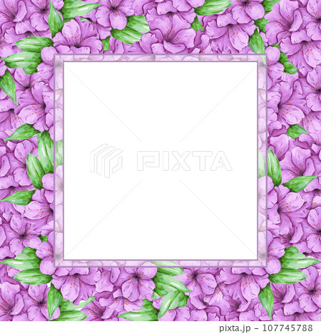 Hand drawn watercolor purple azalea frame...のイラスト素材 [107745788] - PIXTA