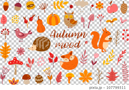 Autumn mood vector design elementsのイラスト素材 [107799311] - PIXTA