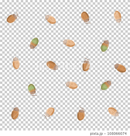 Various acorns - whole - Stock Illustration [108066074] - PIXTA
