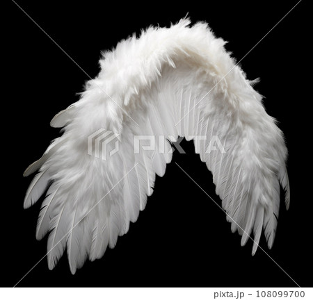 White angel or bird wing on black backgroundのイラスト素材 [108099700] - PIXTA