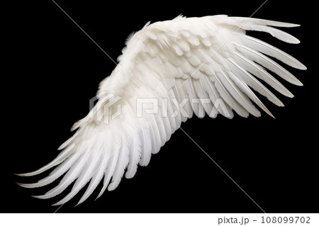 White angel or bird wing on black backgroundのイラスト素材 [108099702] - PIXTA