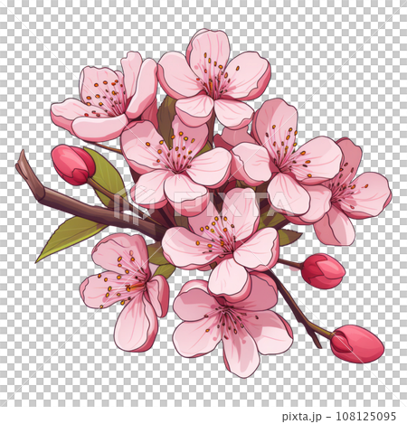 sakura flower simple illustration isolated - Stock Illustration ...