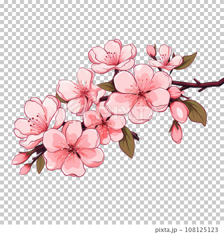 sakura flower simple illustration isolated - Stock Illustration ...