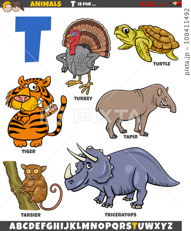 Animals That Start With T