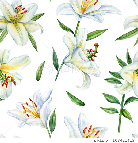 Watercolor white lily, hand painted seamless...のイラスト素材 [108421415] - PIXTA