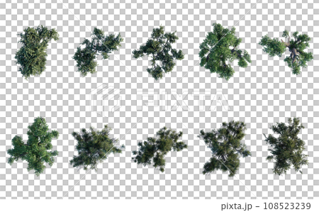 tree top view plant landscape architecture... - Stock Illustration ...