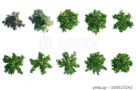 Tree Plan View Tree Plan View Images – Browse 110,228 Stock Photos,