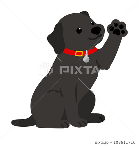 Black Lab Cartoon Drawing 360+ Black Lab Stock Illustrations,