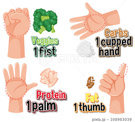 Hand Portion Size Guide for Healthy Eatingのイラスト素材 [108983039] - PIXTA