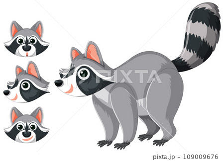 Raccoon in Vector Cartoon Styleのイラスト素材 [109009676] - PIXTA