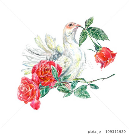 White dove with a bouquet of red roses....のイラスト素材 [109311920] - PIXTA