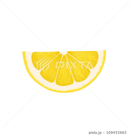 Lemon slice. Realistic illustration isolated on...のイラスト素材 [109455665 ...