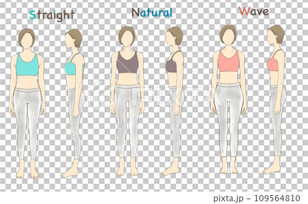 Asian women's common body types illustration set - Stock Illustration ...