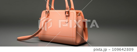Women's handbag of fashionable soft peach colorのイラスト素材 [109642809] - PIXTA