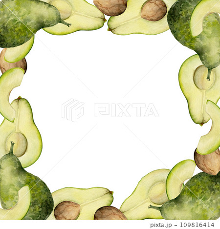 Hand drawn watercolor green avocado vegetable...のイラスト素材 [109816414] - PIXTA