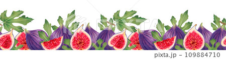 Fig border. Halves, wholes, pieces of purple...のイラスト素材 [109884710] - PIXTA