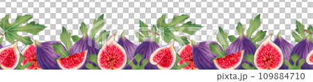 Fig border. Halves, wholes, pieces of purple...のイラスト素材 [109884710] - PIXTA