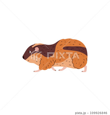 Cute going lemming tundra animal side view flat...のイラスト素材 [109926846 ...