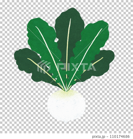 Illustration of spring seven herbs Suzuna - Stock Illustration ...