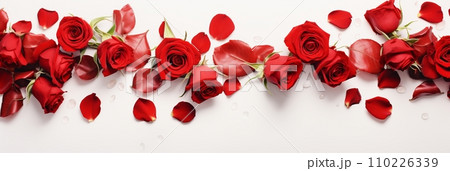 Elegant Red Roses Banner with Copy Space Frame...のイラスト素材 [110226339 ...
