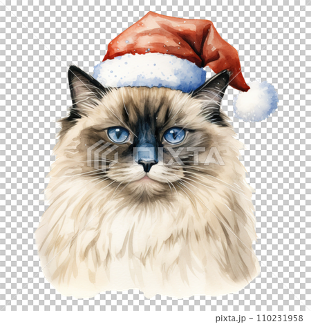 Ragdoll Cat Wearing a Santa Hat. AI generated...のイラスト素材 [110231958] - PIXTA